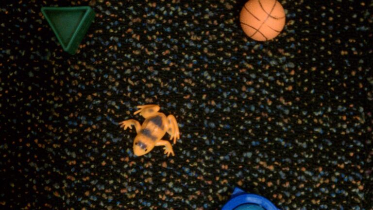 Characteristics and Phases of The CVI Range Assessment - Cortical ...