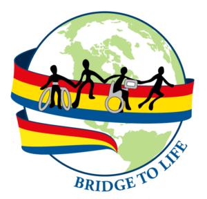 Characteristics and Phases of The CVI Range Assessment | The Bridge School